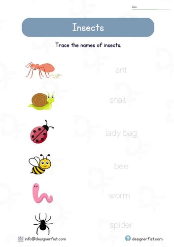 Autism Tracing Objects Worksheet For Childs by Inclusive Learning Support