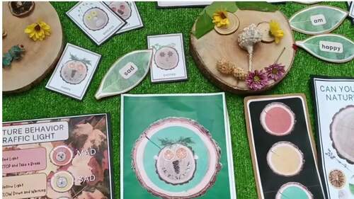 12 Nature Faces Emotions & Behavior Traffic Light | Loose Parts Play ...