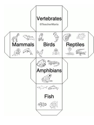 Vertebrates Animals activities for kindergarten and 1st/2nd level
