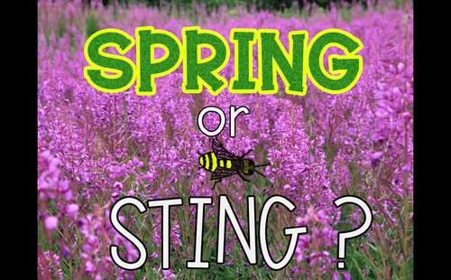 Spring or Sting? Interactive Rhythm Game - Quarter, Eighth Rest | TPT