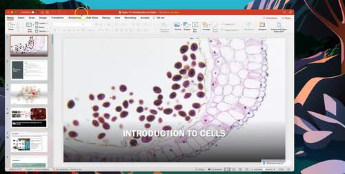 Topic Bundle for IB Biology SL/AHL in High School - Entire Two School Years