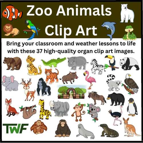 Zoo Animals Clip Art - Science and Biology Clip Art by Teach With Fergy