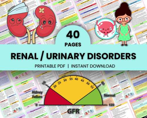 Urinary Disorder | Renal System Study Guide | Nursing Notes | Digital ...