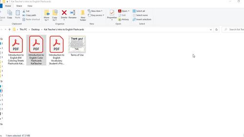 Easy Beginner Vocabulary Flashcards Coloring Sheets Progress Chart ESL ELL