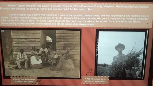 Abolitionist: Harriet Tubman (SS4H4) by History Retake | TpT