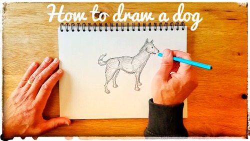 how to draw dog videos