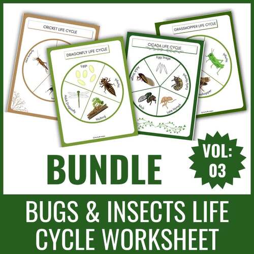 Bugs & Insects Life Cycle Bundle- Dragonfly Cicada Cricket Grasshopper ...