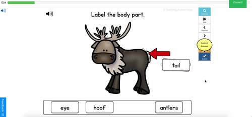 Label the Reindeer | Reindeer Activities Christmas Boom Cards | TPT