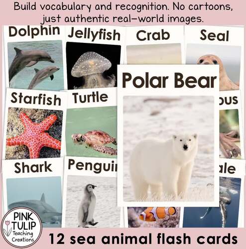 Preschool Sea Life Learning Bundle | Printable Workbook and Flash Cards