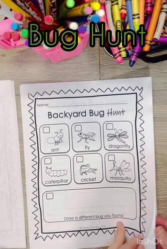 Insect Class Student Survey | Insect Math Bar Graph Pictograph Bug Hunt
