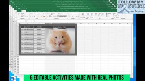 EDITABLE Pixel Art Mystery Picture PETS PACK 6 Digital Activities for EXCEL