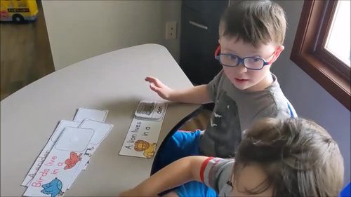 Life Science Activity | Animal Homes | Pre-K & Kindergarten | TPT