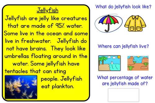 Reading Comprehension K-2 (Pack 2) Boom Cards | TPT