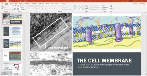 IB Biology Topic 1.3 Membrane Structure Powerpoint (EDITABLE) | TpT