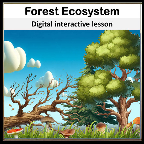 Forest Ecosystem: Food Chains & Biodiversity – Interactive Digital Lesson