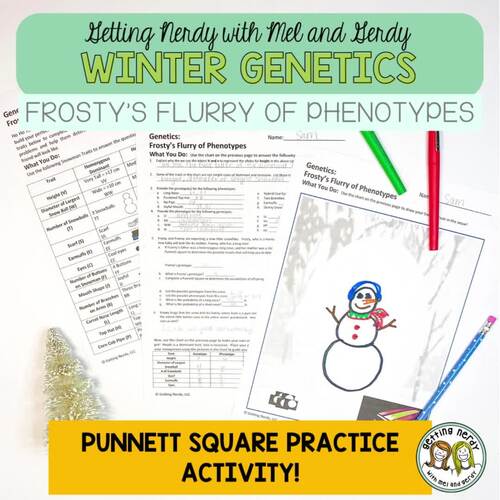 Christmas Winter Genetics - Punnett square Practice Activity | TPT