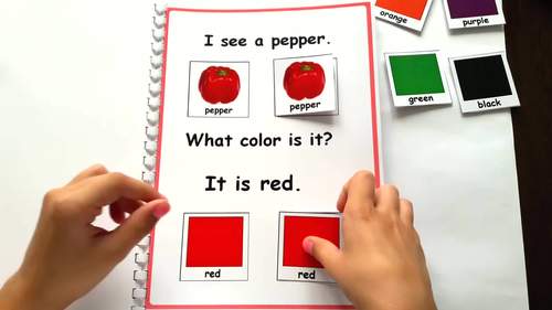 Color Book | Interactive Activity for Nonverbal Students with Autism