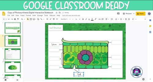 Biology Digital Interactive Notebook Bundle | Distance Learning | TPT