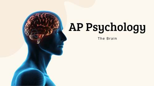 Unit 1 Biological Bases of Behavior PowerPoint Series: AP Psychology ...