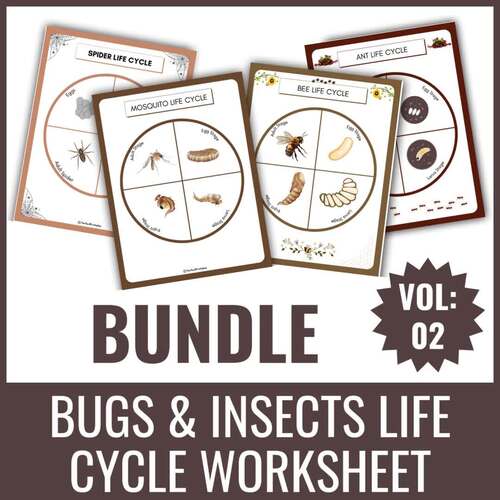 Bugs & Insects Life Cycle Worksheets Bundle – Discover the Life Stages ...