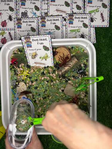 GOING ON A BUG HUNT SENSORY BIN RECIPE CARDS Insect Center Counting ...