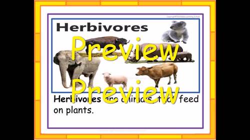Herbivores-Flash cards Slides, Worksheets - with real images .POWERPOINT
