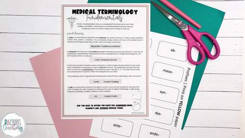Medical Terminology Activity by Rae Rocks Teaching | TPT