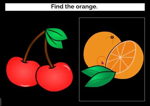 CVI Find the Object Boom Cards™ by One Of A Kind Kids | TPT