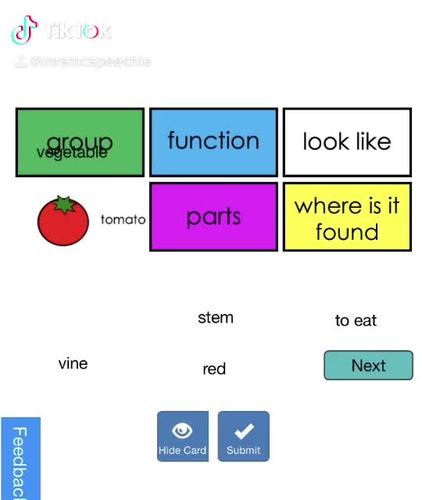 Toca Kitchen 2 app companion DESCRIBING Boom cards by at MrsMcSpeechie