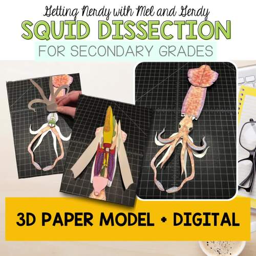 Squid Dissection Zoology | Biology 3-D Anatomy Paper Dissection Model ...