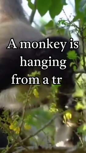 Projectile Motion: Target Lab Activity by Exploration Science | TPT