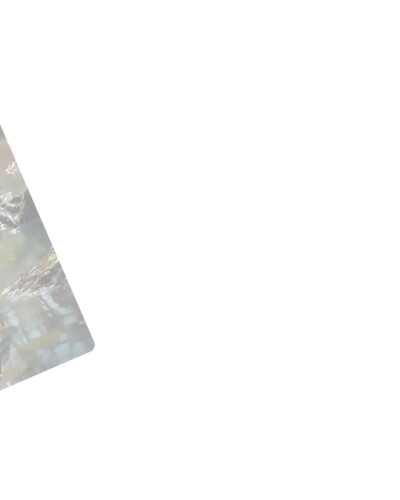 28 Realistic South America Animals Montessori Flashcards Printable by ...