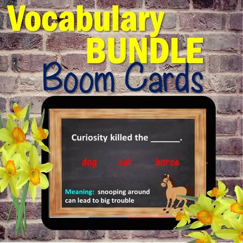 VOCABULARY BOOM Cards I Idioms, Analogies, Prefixes, Suffixes & More!