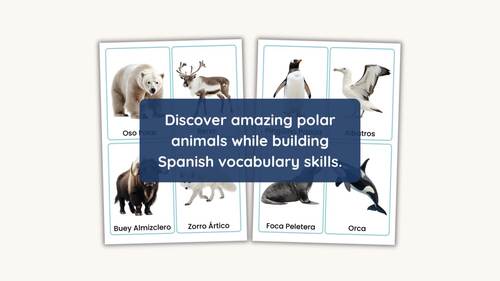Spanish Polar Animals Flashcards | Printable Spanish Vocabulary Resource