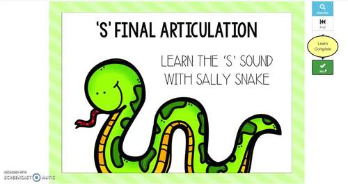 Final S Sound Articulation Boom Cards™ For Distance Learning | TPT