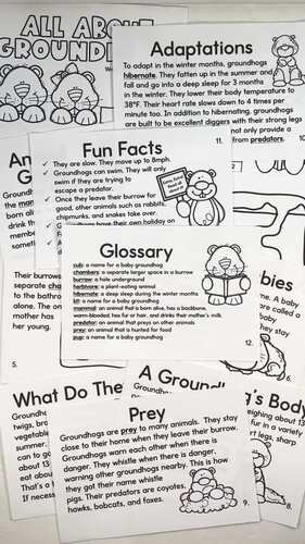 Groundhog Nonfiction Reading Comprehension Informational Text Unit ...