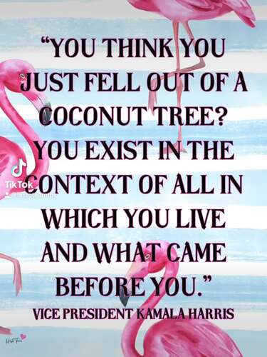 You think you just fell out of a coconut tree? Kamala Harris Poster 16x20