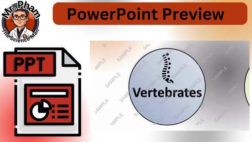 Vertebrates vs Invertebrates PowerPoint by Mr Pham The Science Man