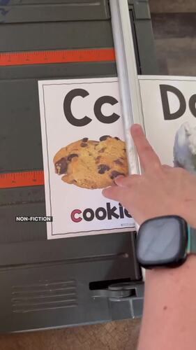 Alphabet Posters with Real Non-Fiction Pictures - Short Long Vowel ...