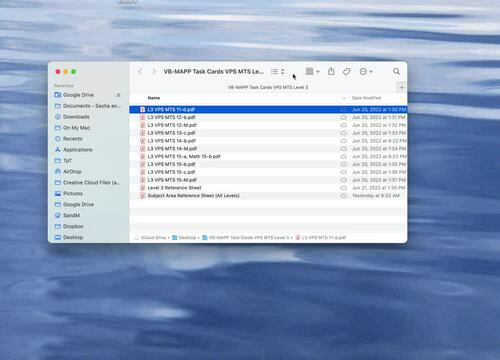 VB-MAPP Task Cards: Visual Perceptual Skills & Match to Sample Level 3
