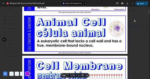 Cells Word Wall || Biology Science Word Wall Spanish Word Wall Biology ...