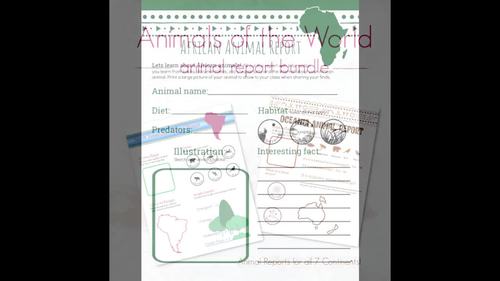 Animals of the World Reports by Hatching Curiosity | TPT