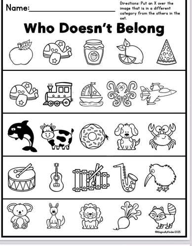 Sorting, Classifying, and Patterning Worksheets | Early Math Skills ...