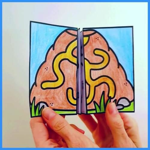 Life cycle of an ant insect foldable cut and paste activity and printables