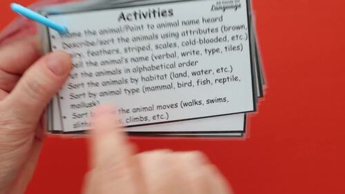 Animals A to Z Flash Card Set | 26 Different Animals | Activity Suggestions