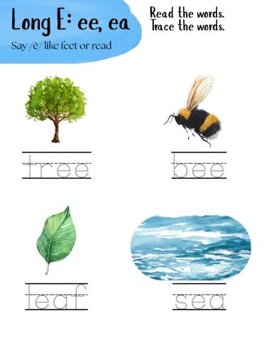 Phonics Silent E Words R Controlled Vowels Dipthong Long Vowel Teams ...