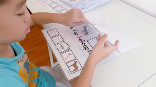 Letter L Adapted Flip Book| Real Pictures | Task Card| Early ...