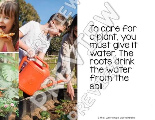 How to Care for a Plant - Projectable Read-Aloud Lesson - KINDERGARTEN ...