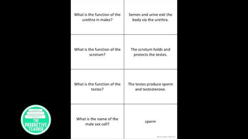 Human Reproduction and Development Flashcards by The Productive Teacher