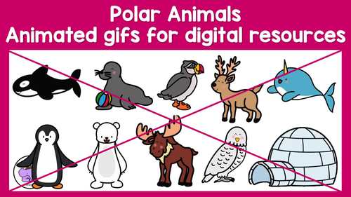 Animated GIF Polar Animals | Animal Kingdom GIFs | TPT